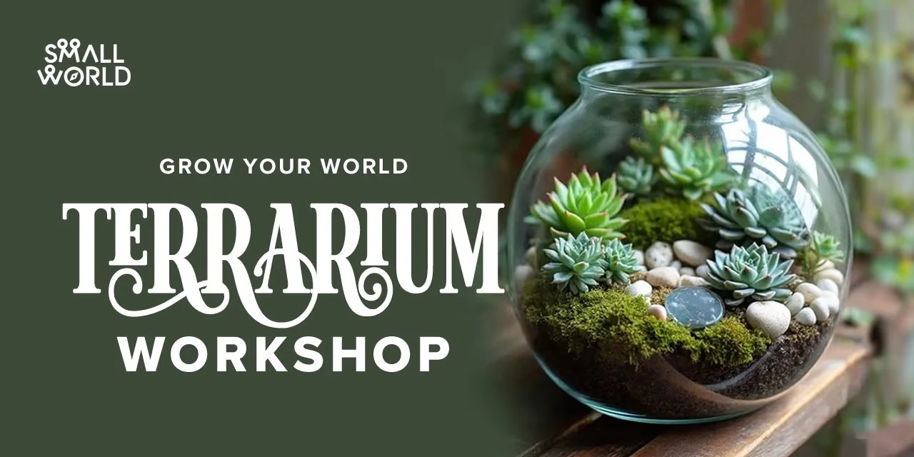 DIY Terrarium Workshop – Mumbai - Small World